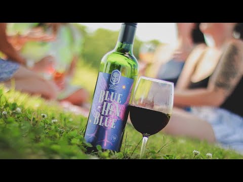 Delaware Wine – French Wine & Family in The First State with Jason Hopwood of Harvest Ridge Winery