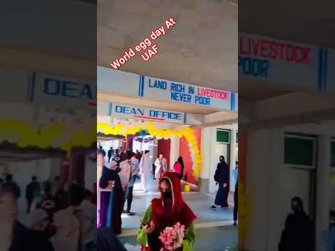 World egg day at UAF#world #egg #day#uaf #youtube