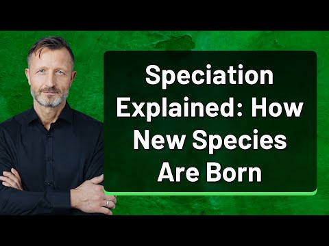 Speciation Explained: How New Species Are Born