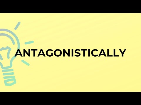 What is the meaning of the word ANTAGONISTICALLY?