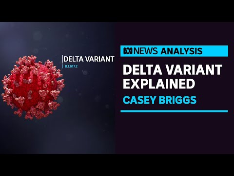 What is the 'Delta variant' and how did it get into the community? | ABC News