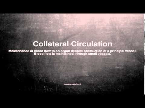 Medical vocabulary: What does Collateral Circulation mean