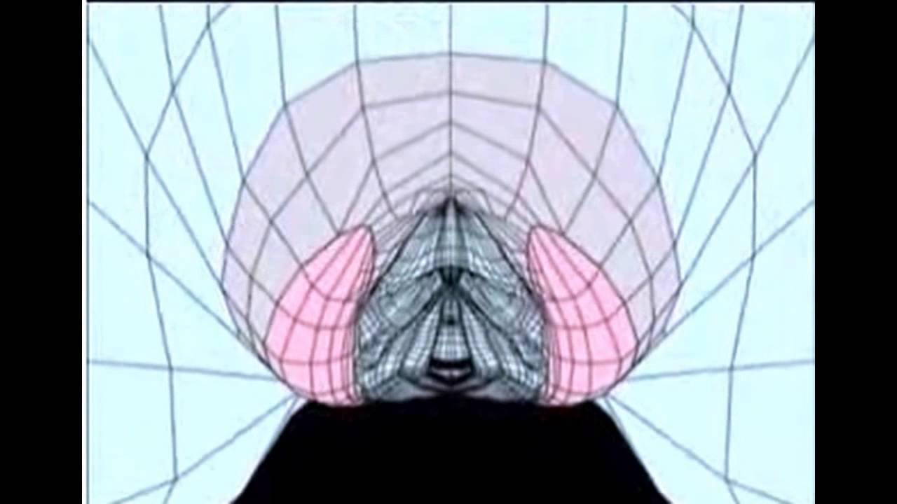 Vaginal Labiaplasty Explained - Trim / Edge Method