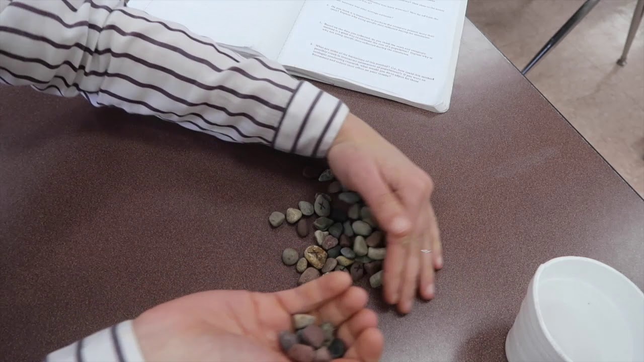 Population Sampling Lab