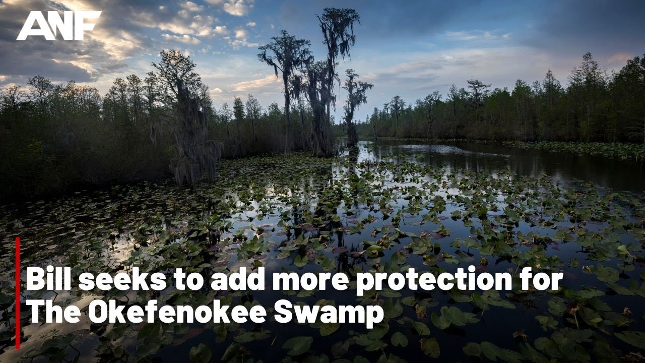 Bill seeks to add more protection for The Okefenokee Swamp