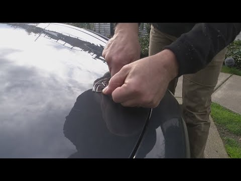 Tesla owners removing logos from vehicles | Here's why
