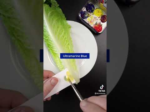 Color Matching Lettuce