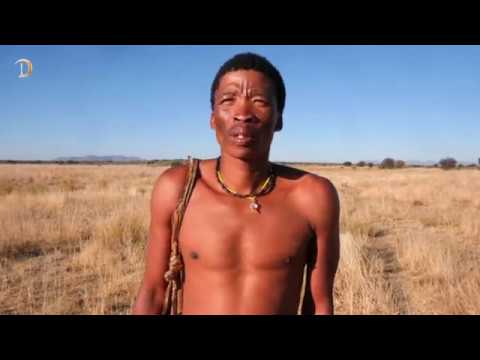 African Nostalgia