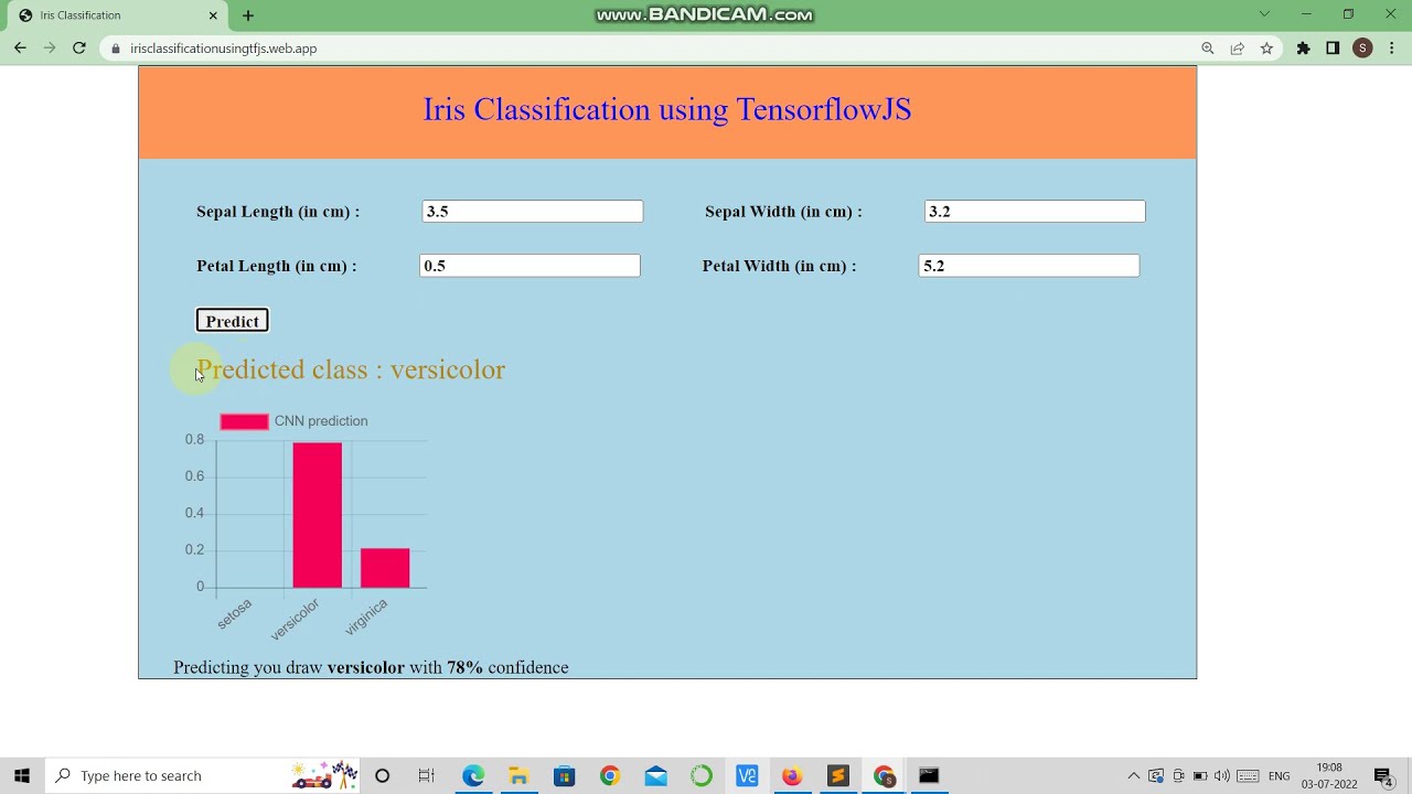 Iris Classification using TensorFlow JavaScript : A Simple Machine Learning Problem😊