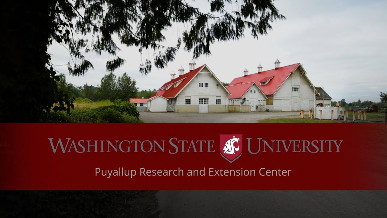 Washington State University - Puyallup Research and Extension Center