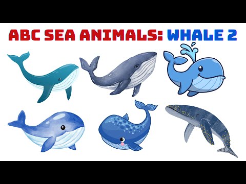 ABC Sea Animals Fun For Kids: Learn the Alphabet with Amazing Ocean Creatures & Whale Species 2