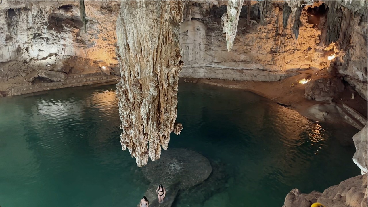 archivo de enero, 2026. (amigos, cenotes, galerías de arte)