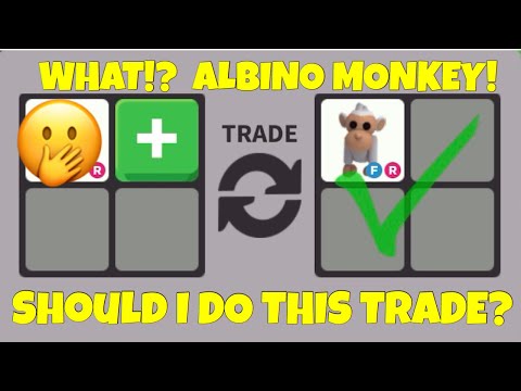 What!?  Albino Monkey For My Pet!  Yes Or No?  Should I Accept?
