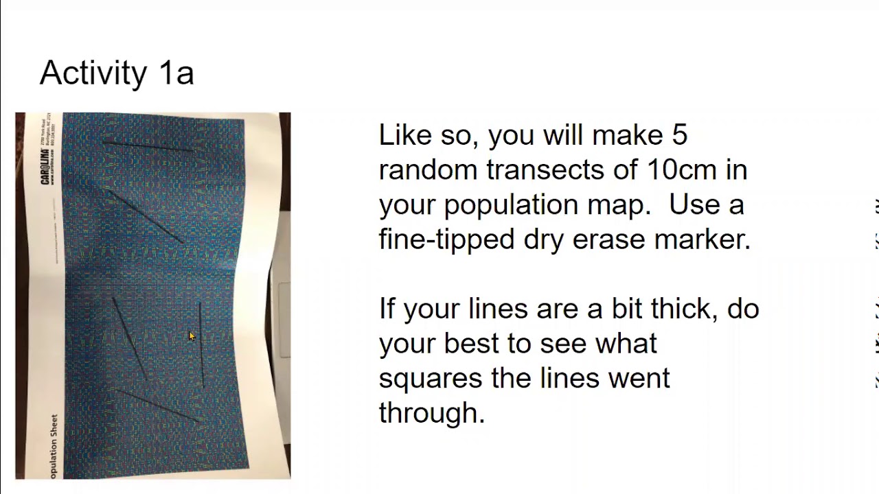 Simulated Methods for Estimating Population Size Lab Walkthrough