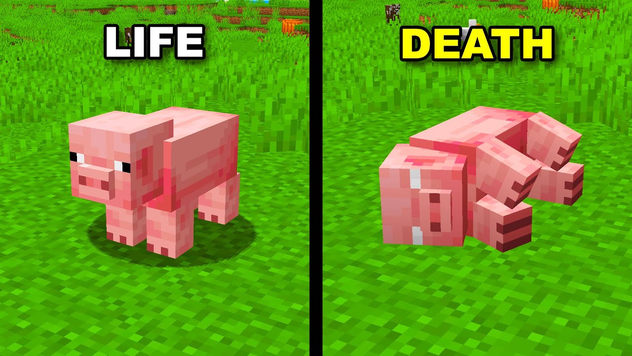 Mods You NEED to Know in Minecraft!