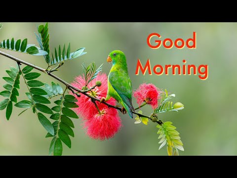 Good morning quotes images