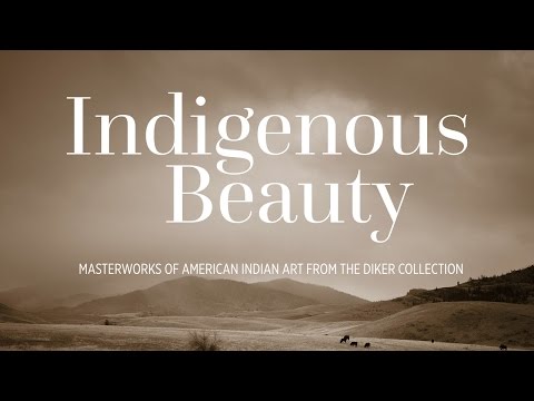 Indigenous Beauty: Masterworks of American Indian Art from the Diker Collection