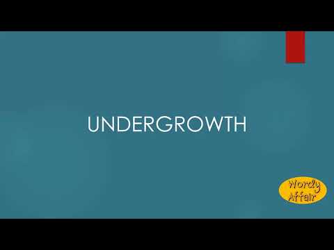 Undergrowth Meaning