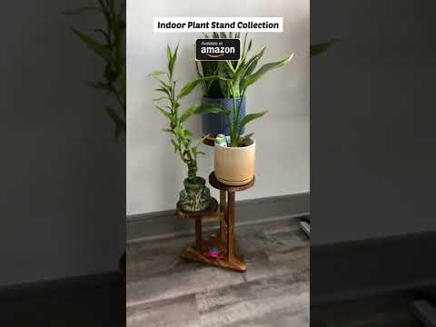Amazon Indoor Plant Stand Collection