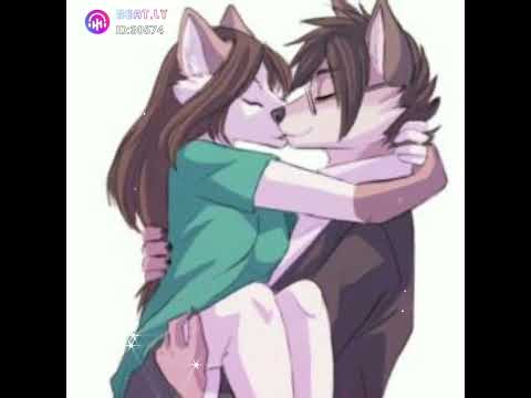 cute furry couples