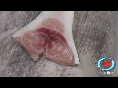 Oceans Fleet Fisheries - Scallops, swordfish, lobster, tuna, halibut and more...