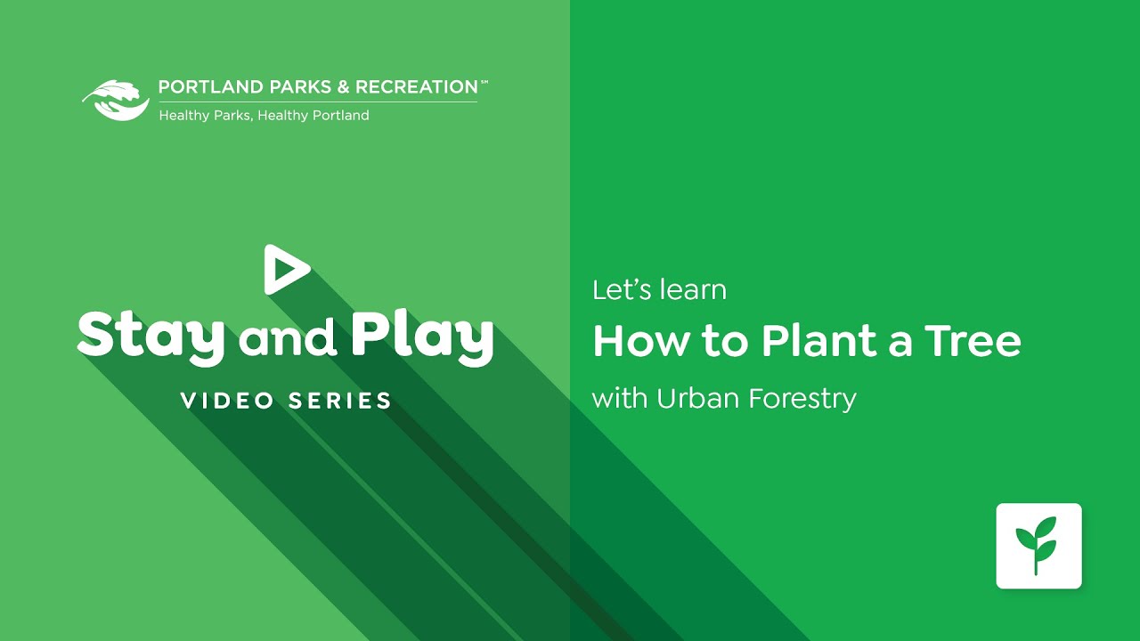 Stay and Play - Let's learn How to Plant a Tree with Urban Forestry