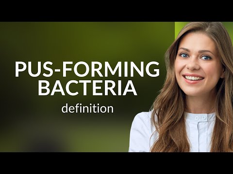 Pus-forming bacteria — PUS-FORMING BACTERIA meaning