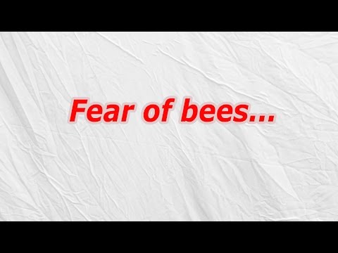 Fear of bees (CodyCross Answer/Cheat)