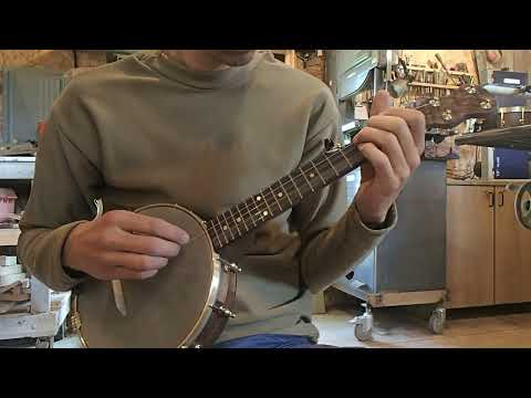 Hoyt C-Scale Banjo 2019 - Curly Maple | Reverb