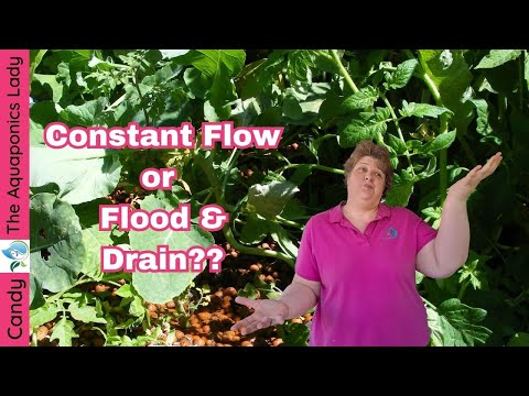 The Aquaponics Battle: Constant Flow vs. Flood and Drain Revealed