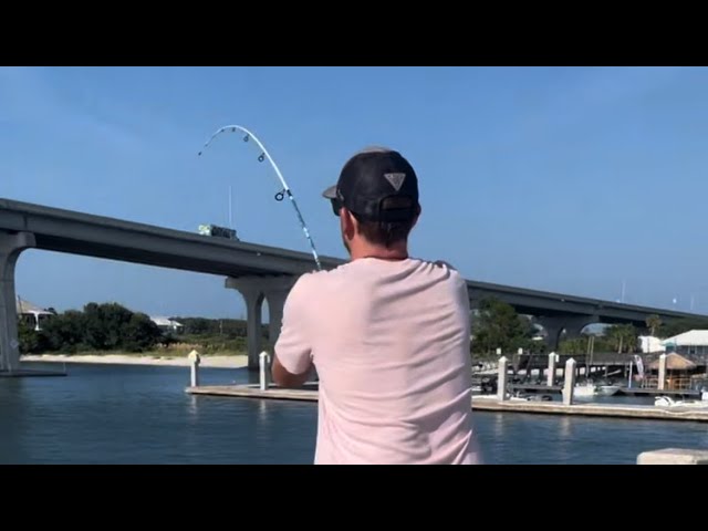 Adventure Oasis | Visit St. Augustine
