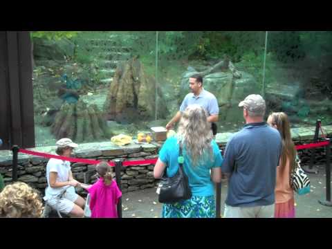 Animal Keeper - Career Spotlight