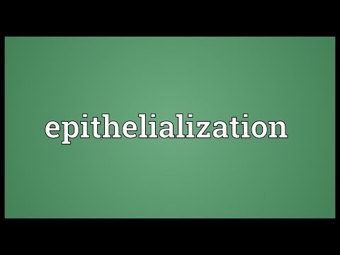 Epithelialization Meaning