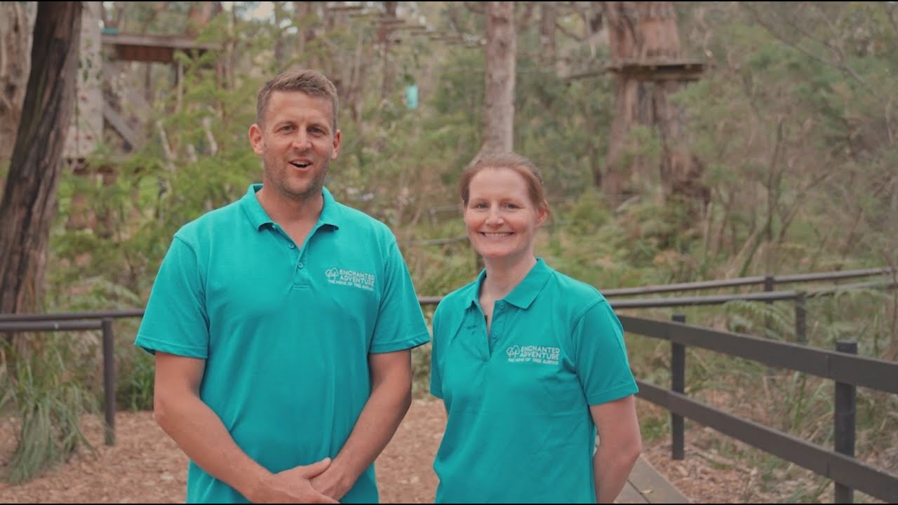 Which Tree Surfing Course Suits You?