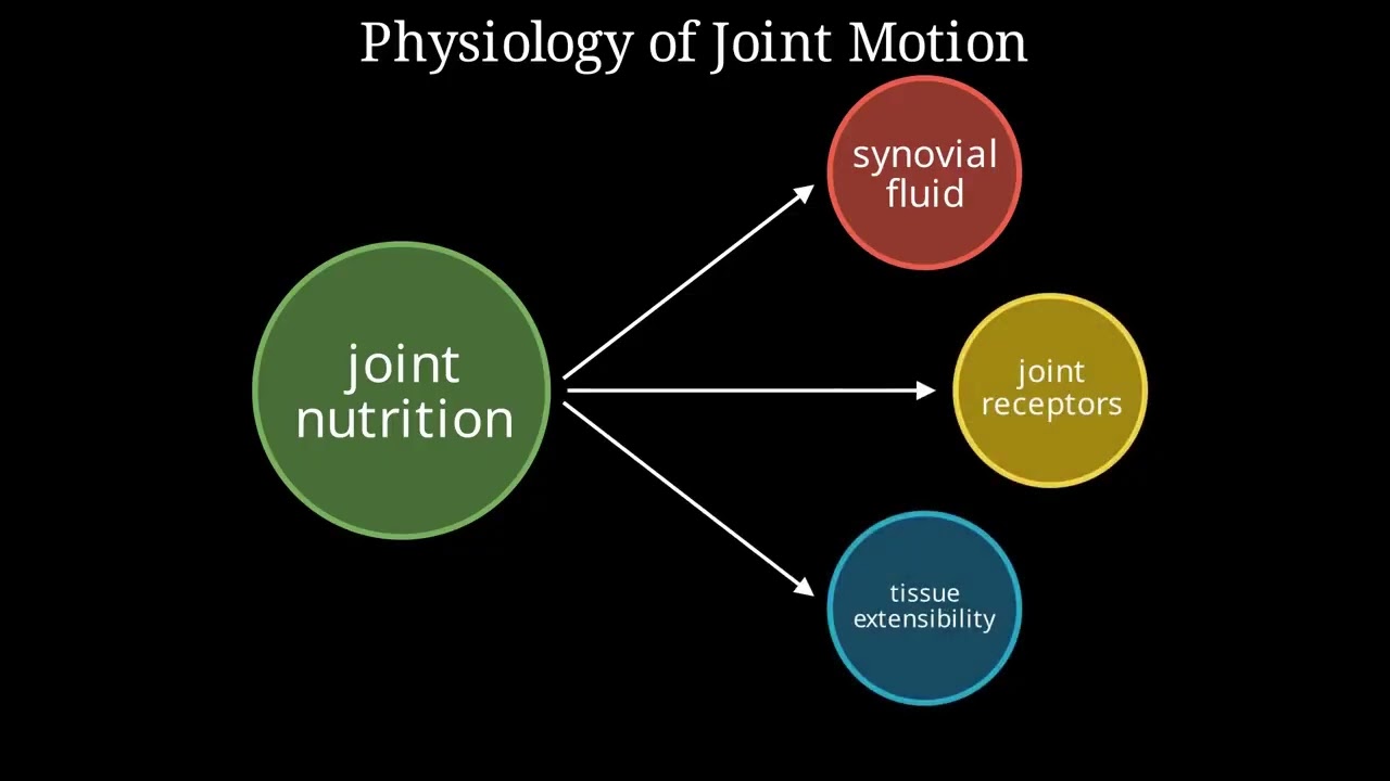 Peripheral Joint Mobilization | Physiotherapy Techniques for Pain Relief & Mobility