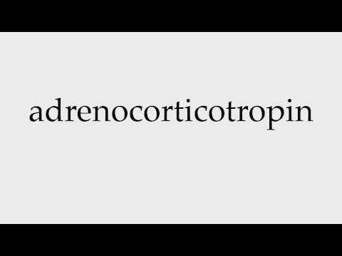 How to Pronounce adrenocorticotropin