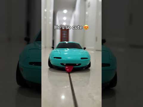 So adorable 🥰 #car #drift #mazda #miata