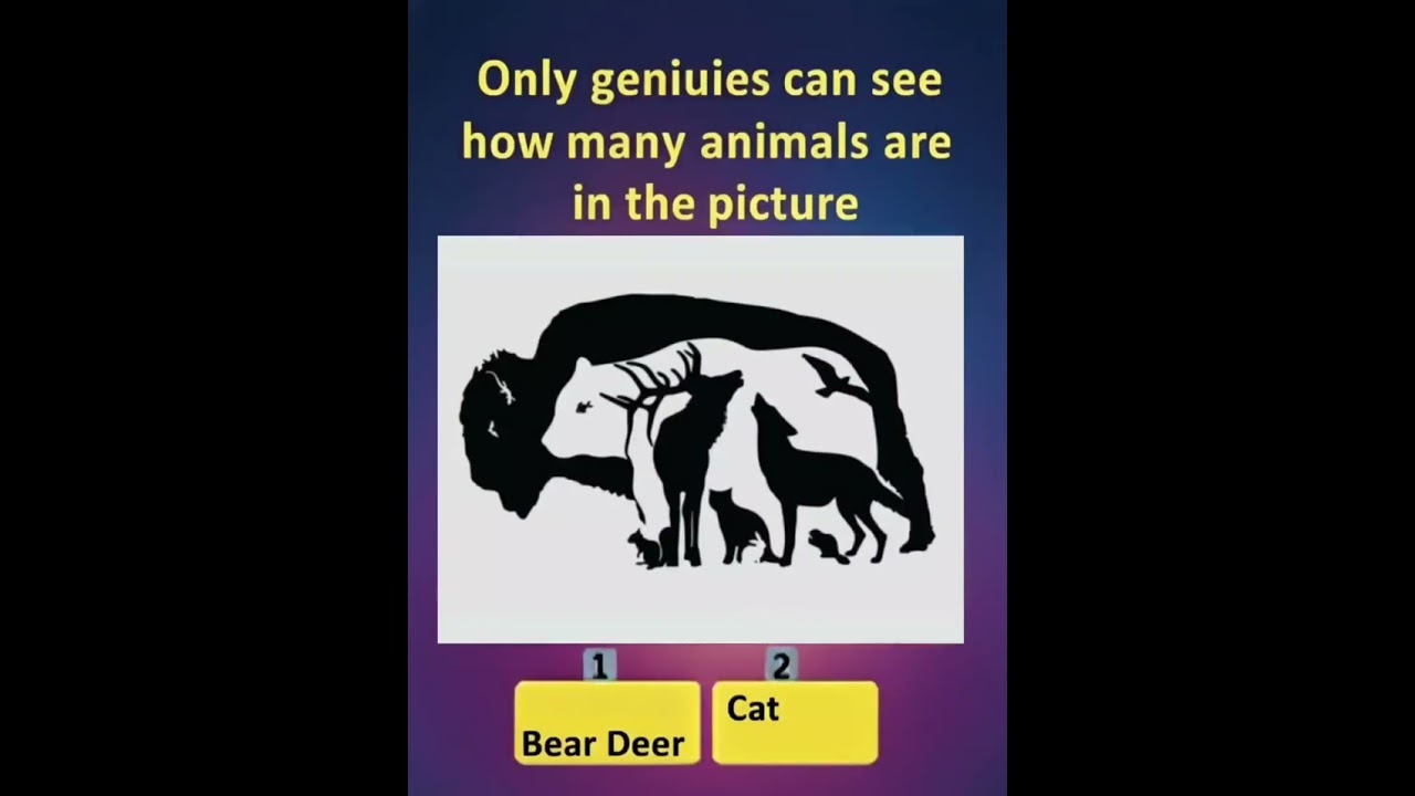 How many animals can you really see in this picture? 🧐