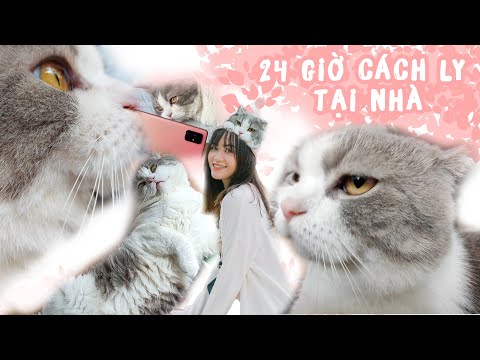 Ở nhà cách ly xã hội - Dùng máy gì cho SƯỚNG!