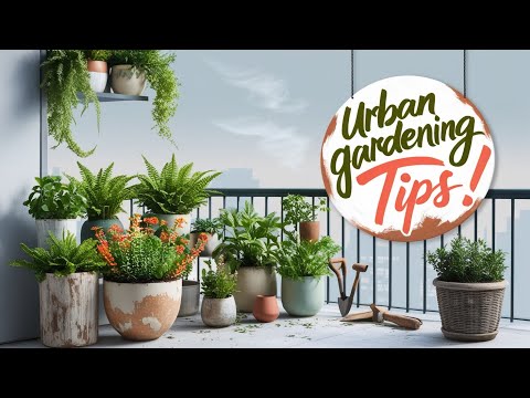 Urban Gardening 101 🌆 | How to Grow Plants in Small Spaces
