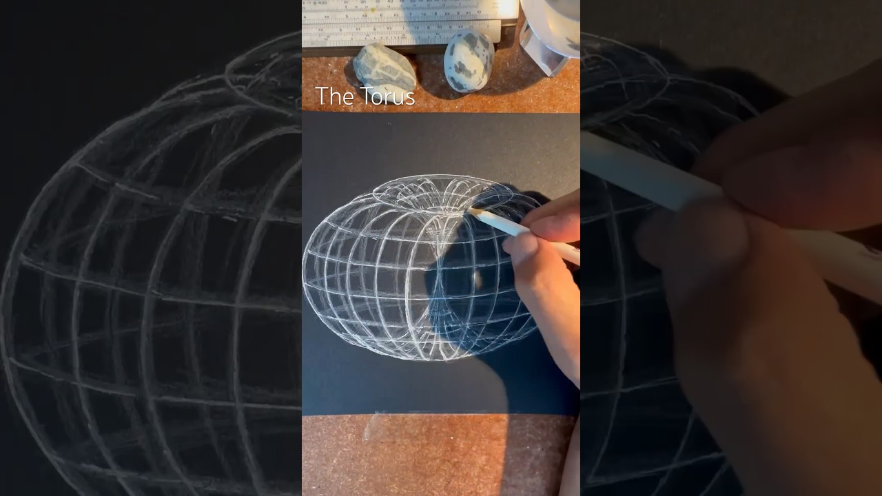 How to draw the Torus. By hand fast