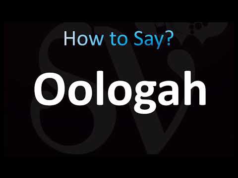 How to Pronounce Oologah (CORRECTLY!)