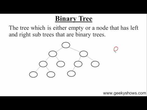 Learn 99 Binary Tree Hindi - Mind Luster