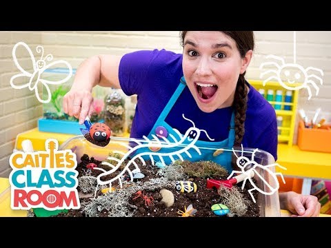 Caitie's Classroom Live - Creepy Crawly Bugs!
