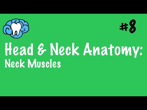 Head & Neck Anatomy | Triangles of the Neck & Neck Muscles | INBDE