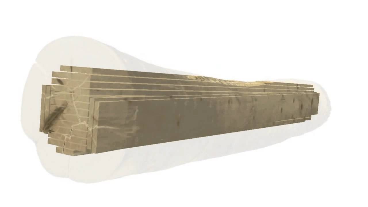 MiCROTEC CTLOG Virtual Grading