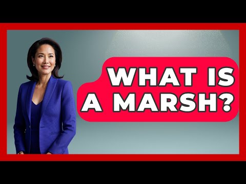 What Is A Marsh? - The Geography Atlas