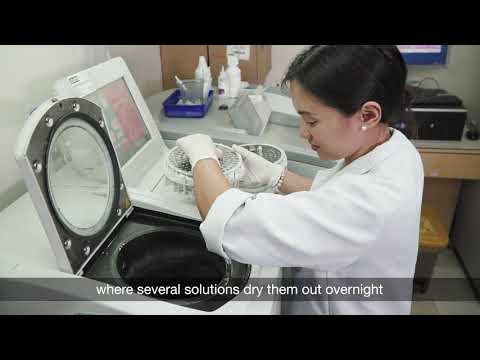 Diagnosing Disease: Process of Pathology