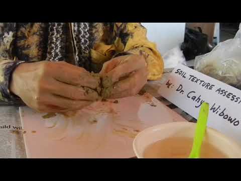 Tekstur Tanah Mulai dari Silinder Kurus oleh Dr. Ir. Cahyo Wibowo, MSc