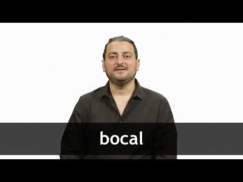 English Translation of “BOCAL” | Collins French-English Dictionary